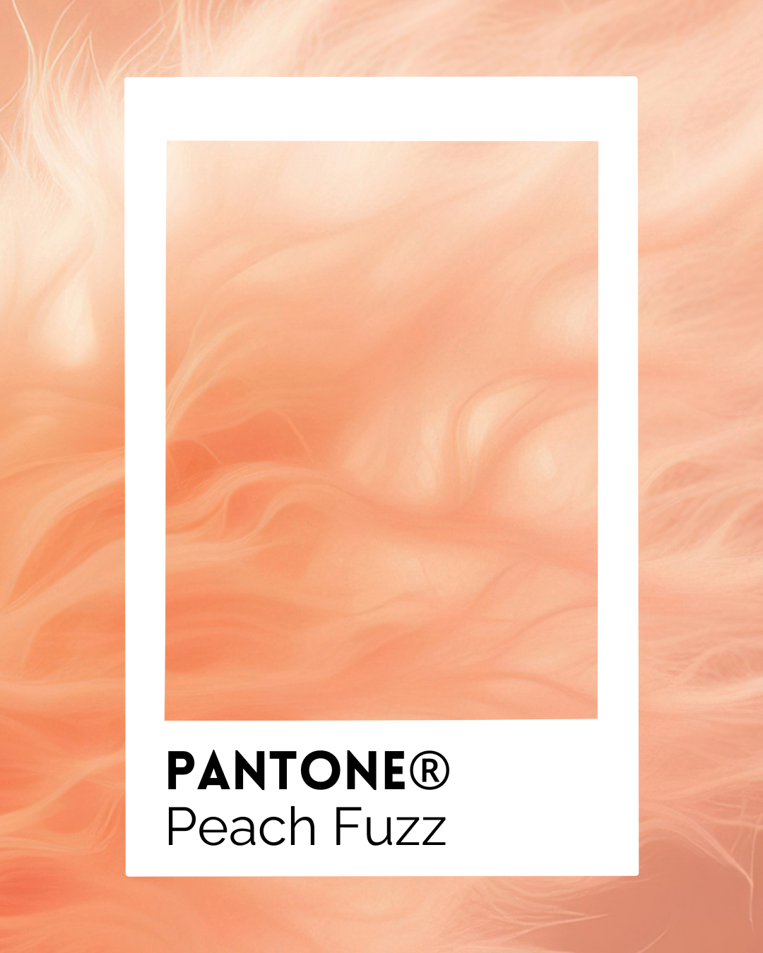 Tendances graphiques print récentes | Évolution visuelle